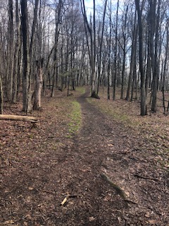 Spring Sonnet – Changing the world, one person at a time